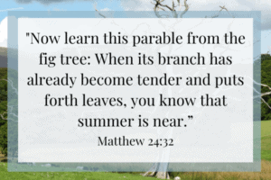 25+ Beautiful Bible Verses About Summer - Pray With Confidence