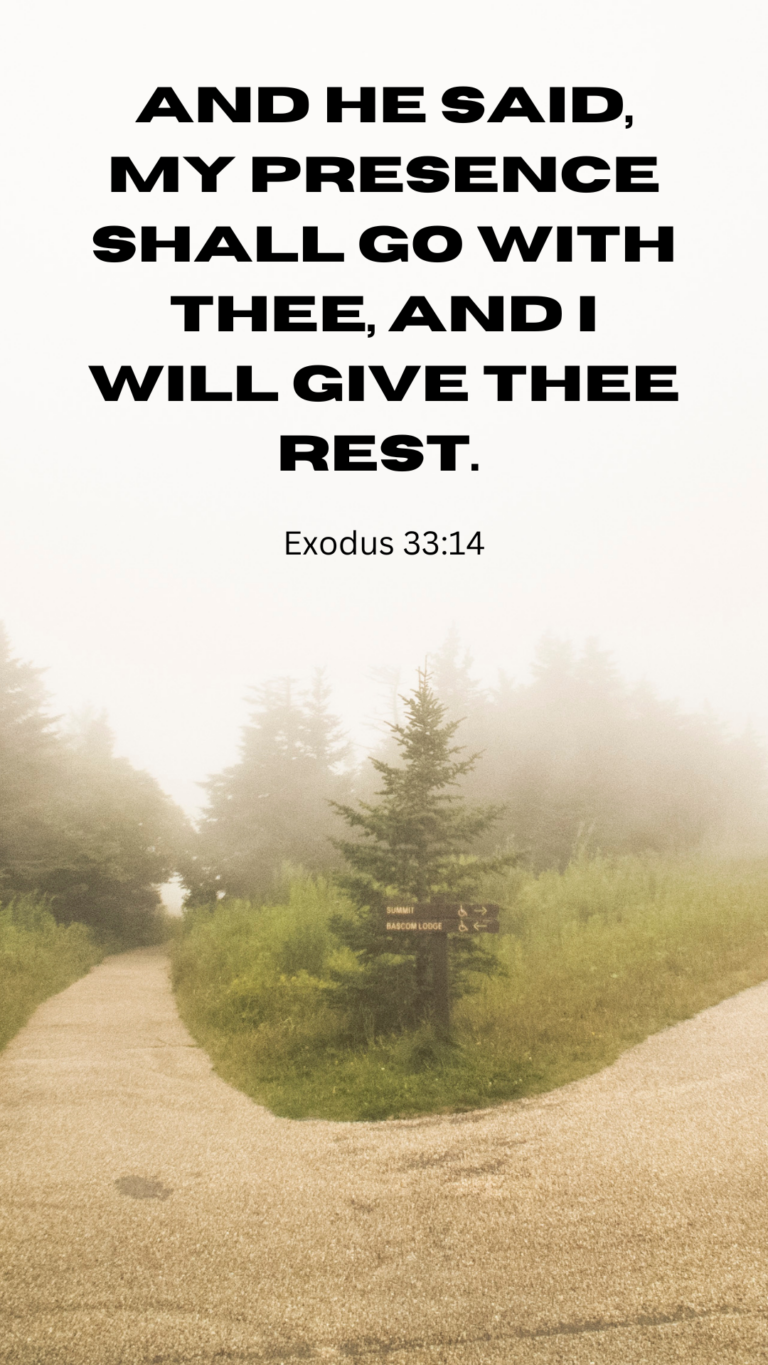 22 Bible Verses About Rest (When You Feel Overwhelmed) - Pray With ...