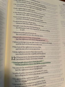 The Best Bible Highlighters [No Bleed] - Pray With Confidence