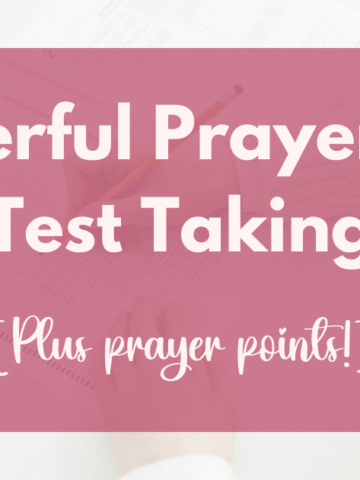 A Beautiful January 25 Prayer (Perfect Love & The Bible) - Pray With ...