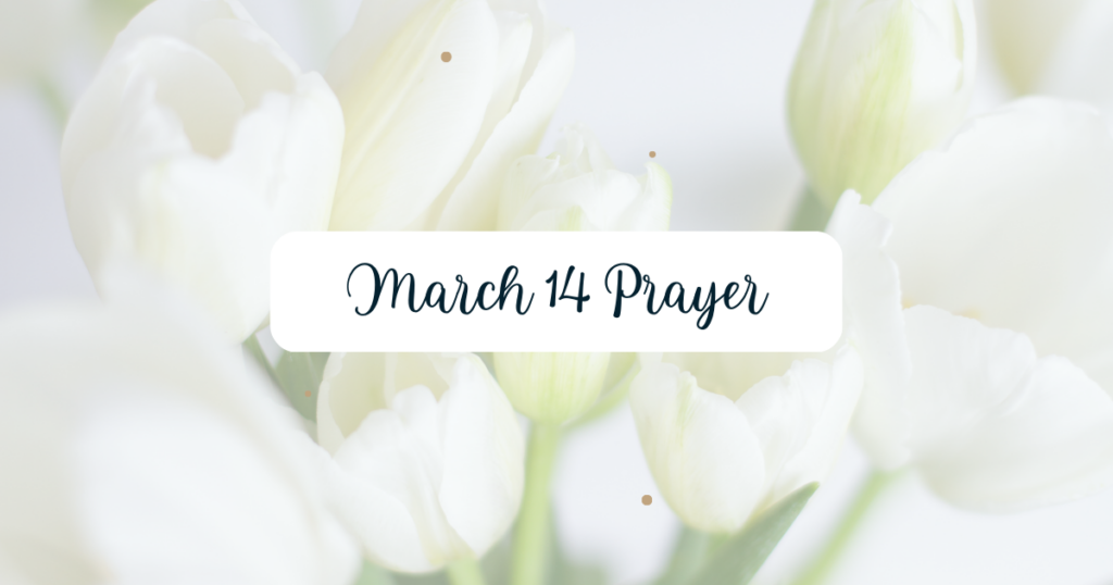 March 14 Prayer (Trusting God v. the world) - Pray With Confidence