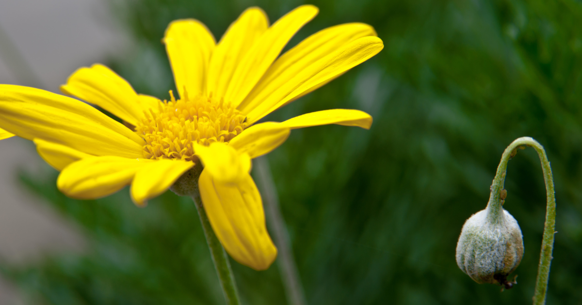 Discouragement in the Bible - Pray With Confidence