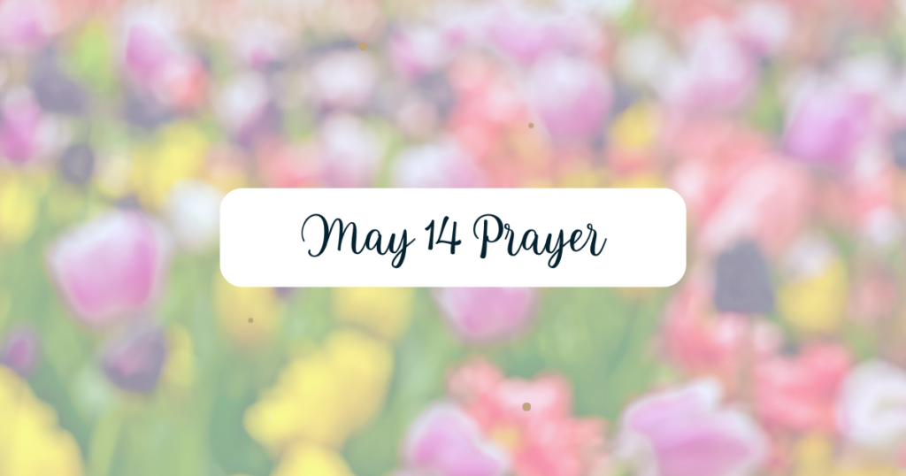 May 14 Prayer - Pray With Confidence