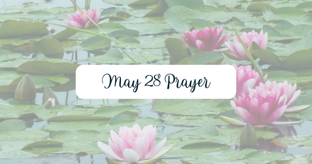 May 28 Prayer - Pray With Confidence