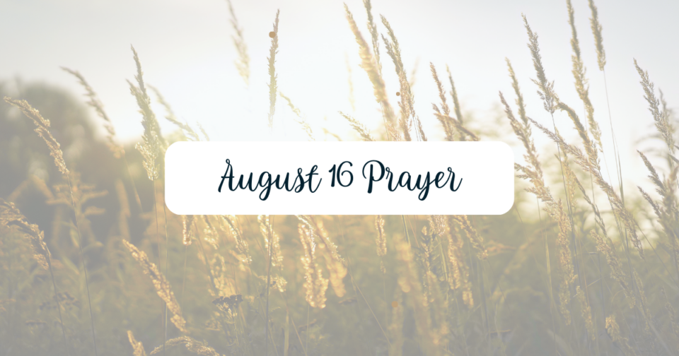 August 16 Prayer (Philippians 4:19 devotional) - Pray With Confidence