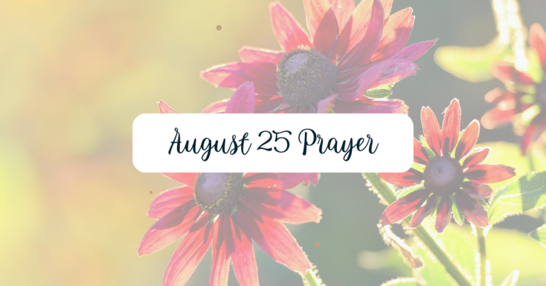 August 25 Prayer (The Peace of Chasing After God) - Pray With Confidence